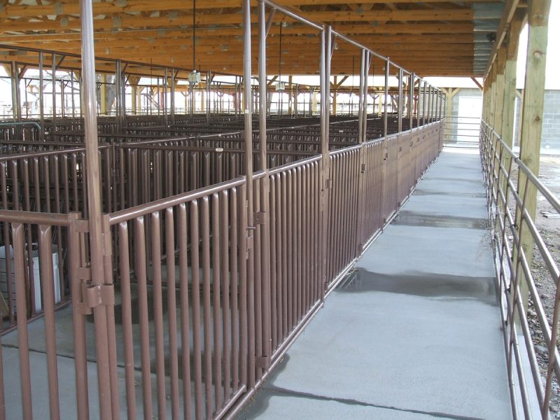 Hog & Sheep Panels & Gates - Blattner