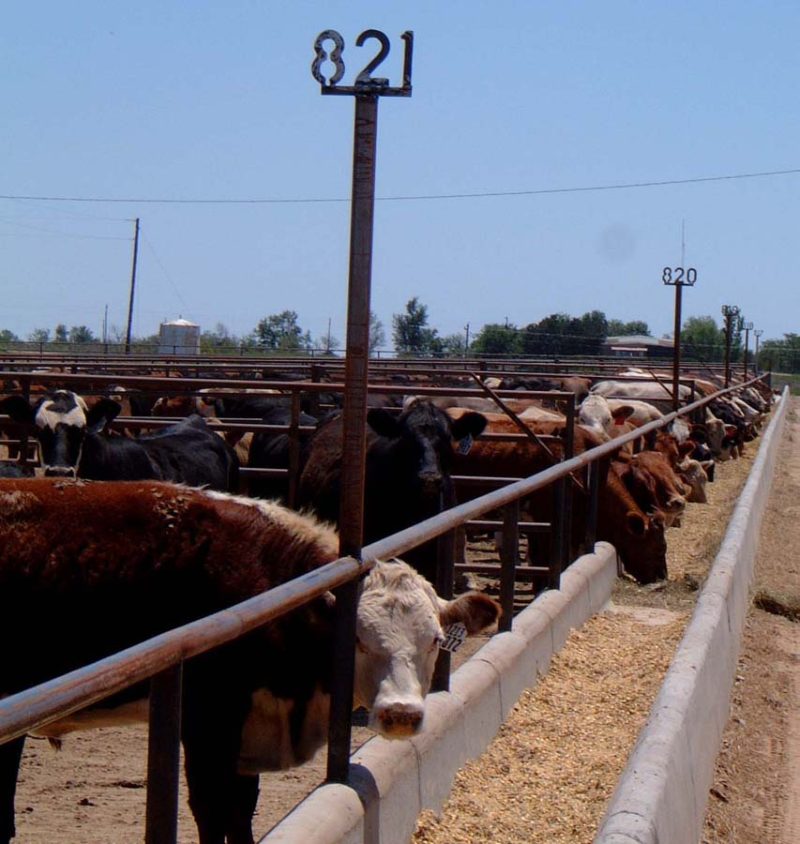 Pen Signs - Blattner